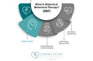 Mastering DBT Mindfulness "How" Skills: One-Mindfully Explained ...